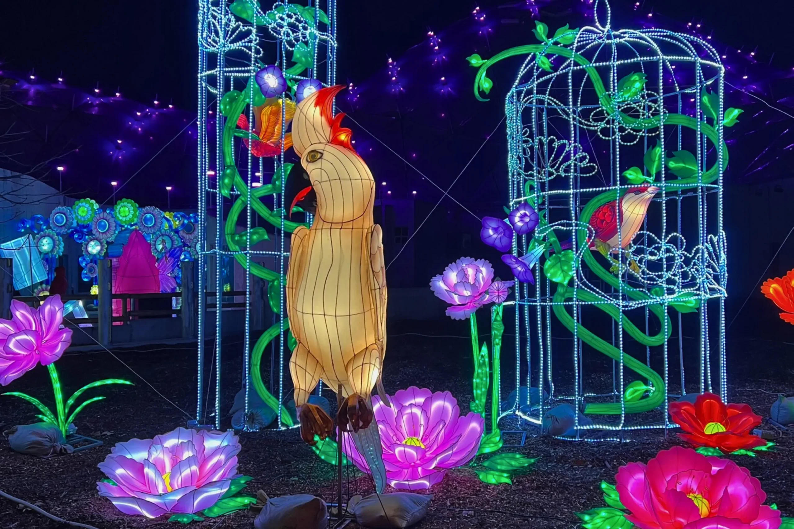 Spring Lantern Magic – Budapest Zoo and Botanical Garden