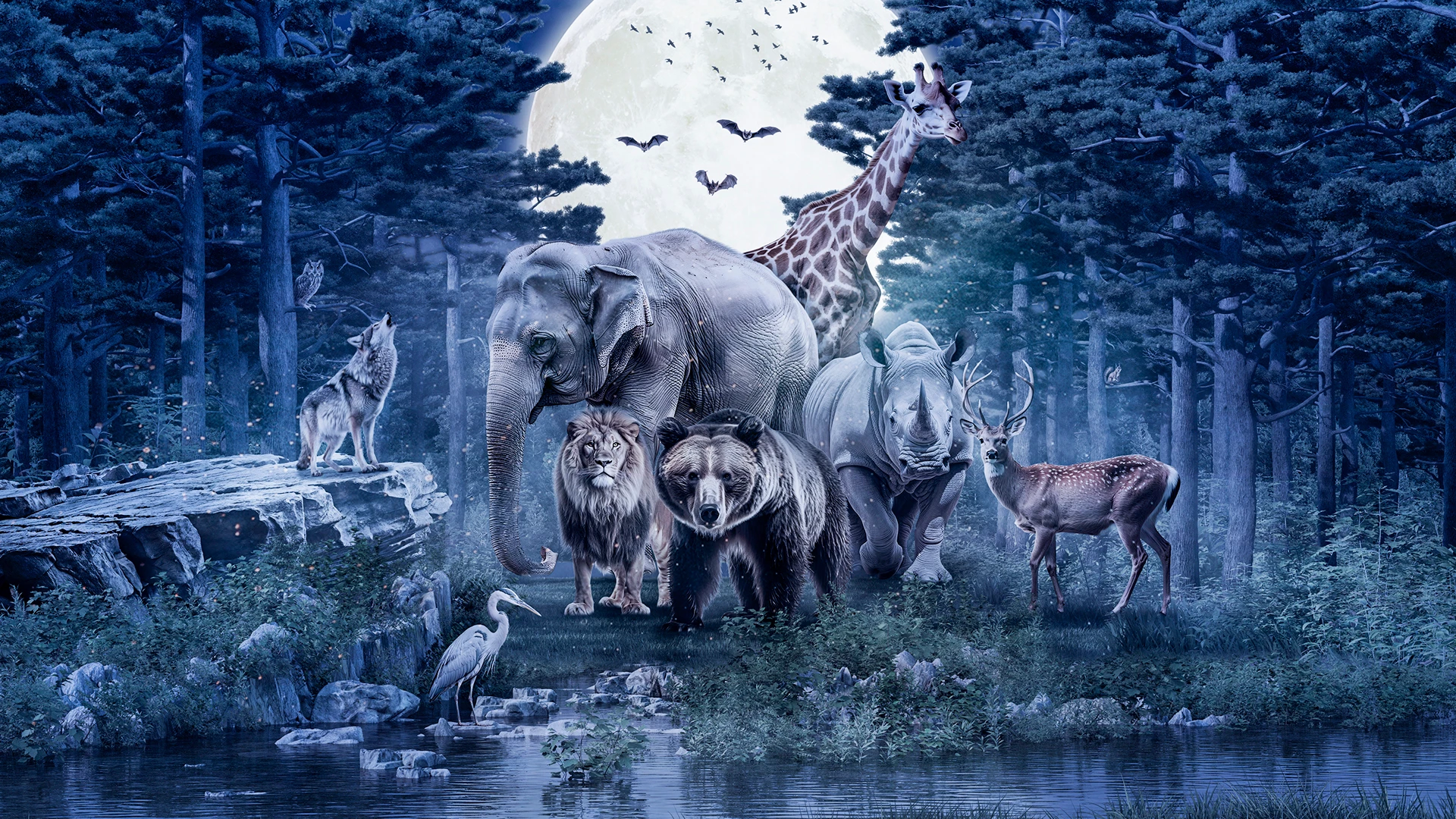 Zoo at Night – Budapest Zoo and Botanical Garden